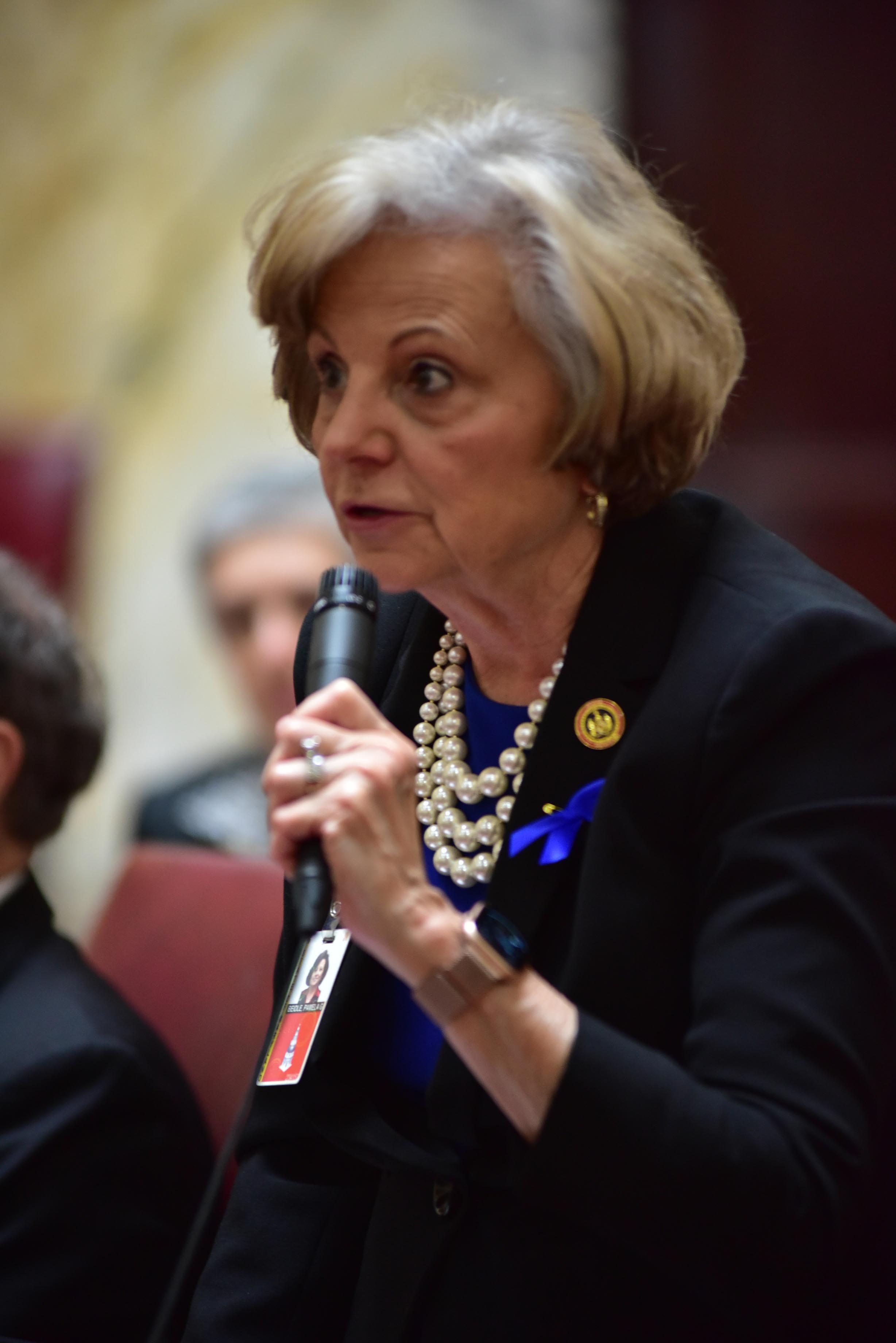 Floor Actions - Proceeding Photos