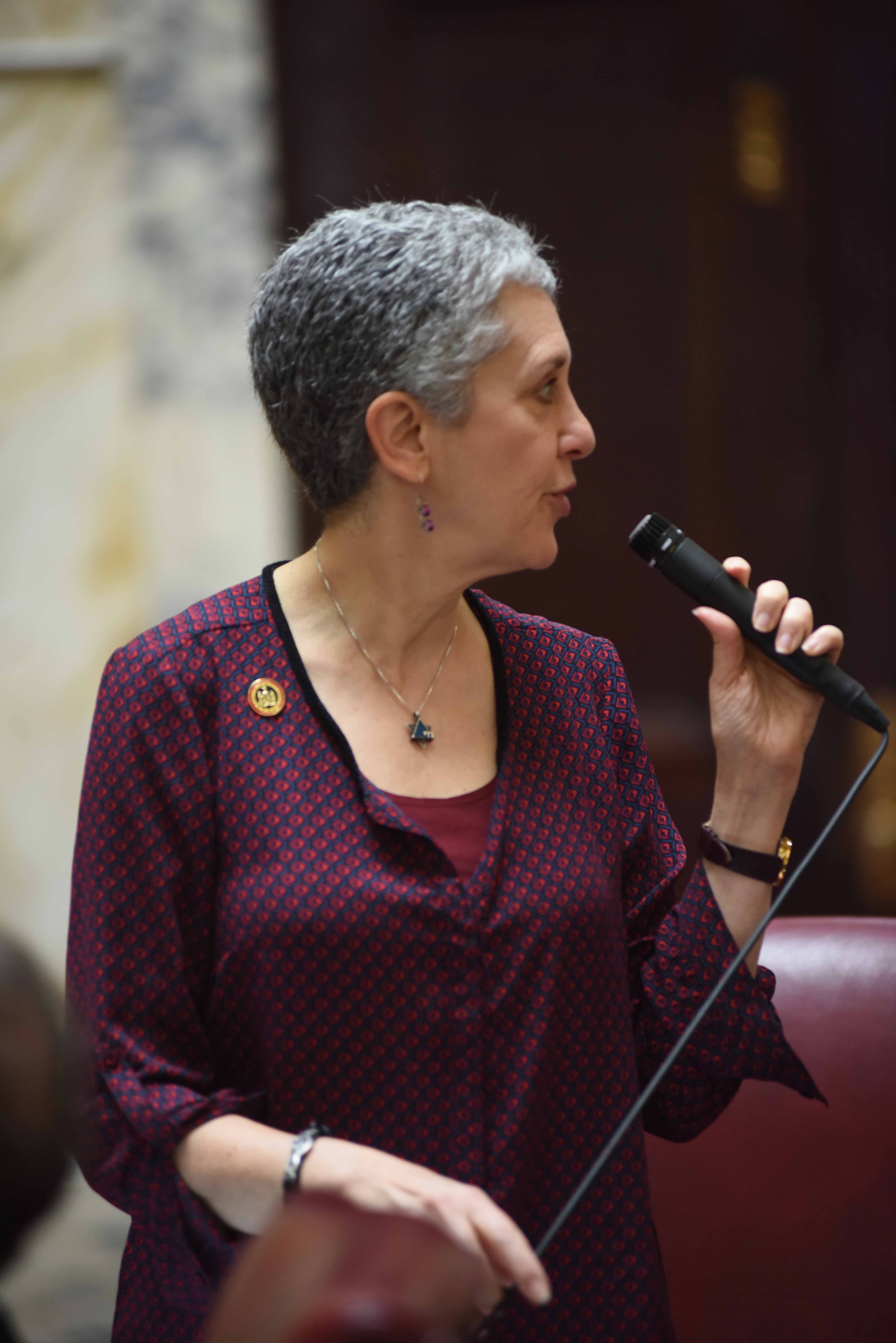 Floor Actions - Proceeding Photos