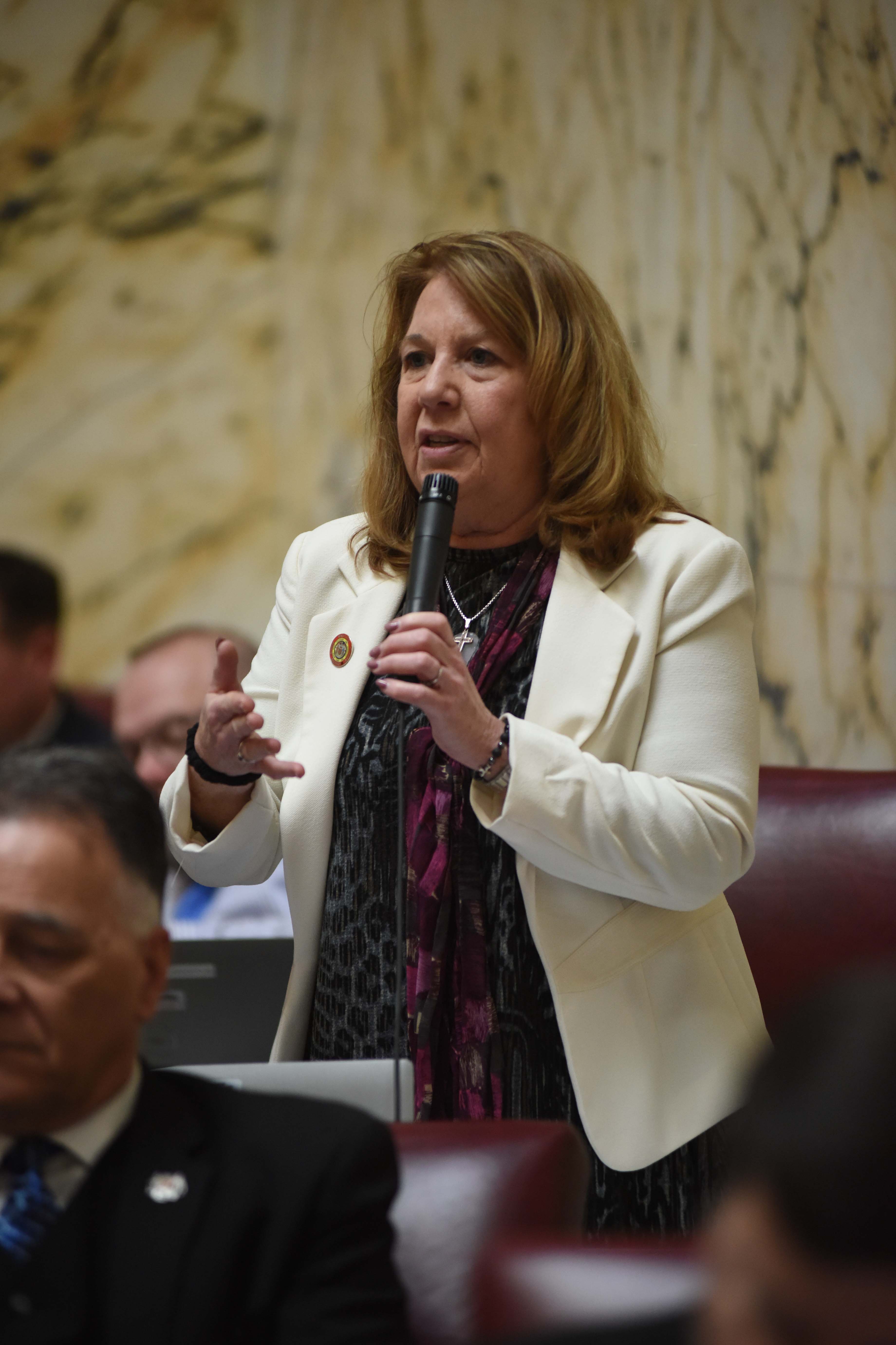 Floor Actions - Proceeding Photos